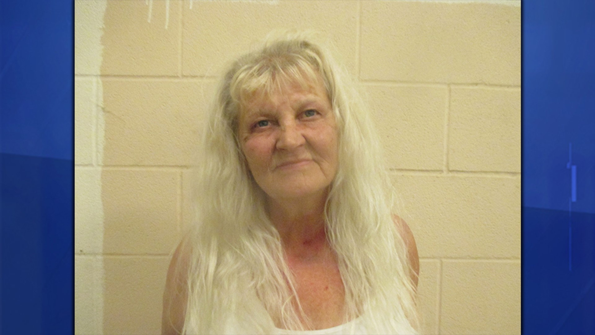 Former Elgin dispatcher accused of hitting, killing teen out on bond ...