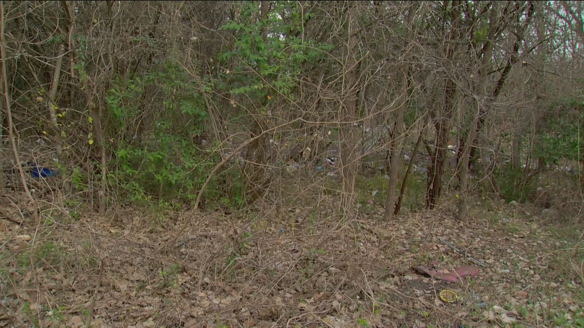 Police investigating death off Nelms Drive in southeast Austin | kvue.com