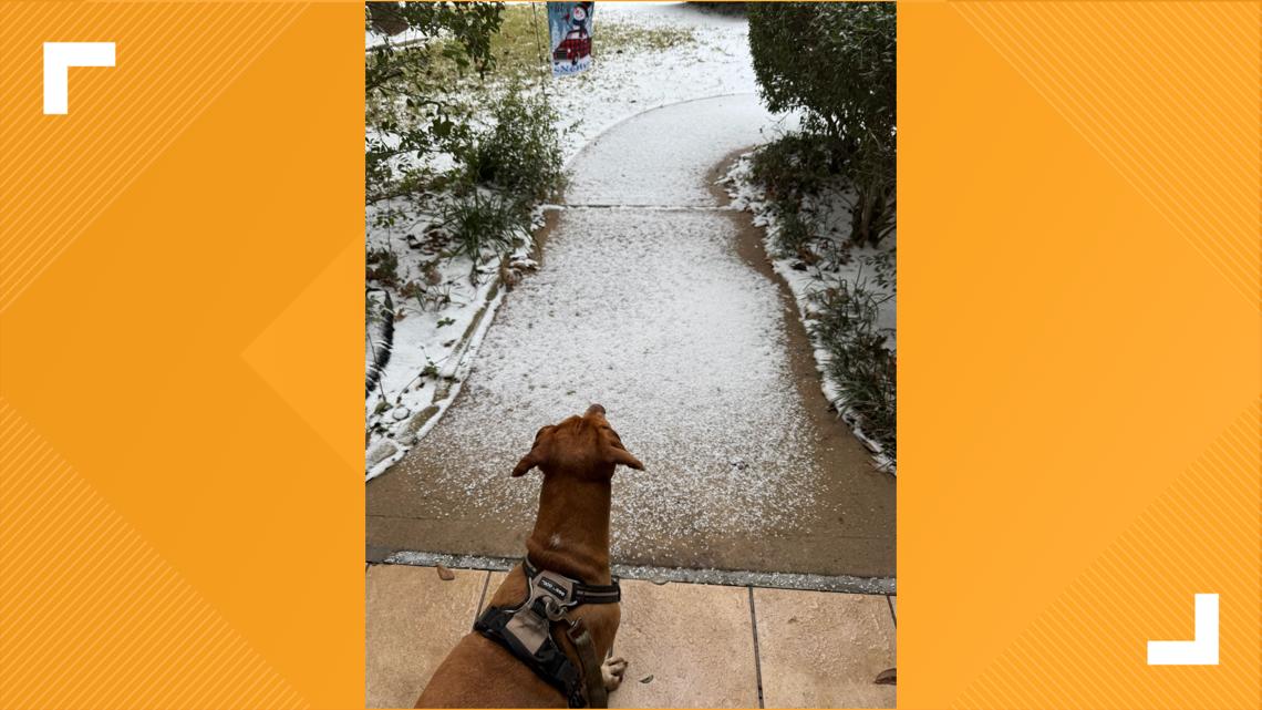 Snow in Austin, Texas: Photos show winter weather across Central Texas ...