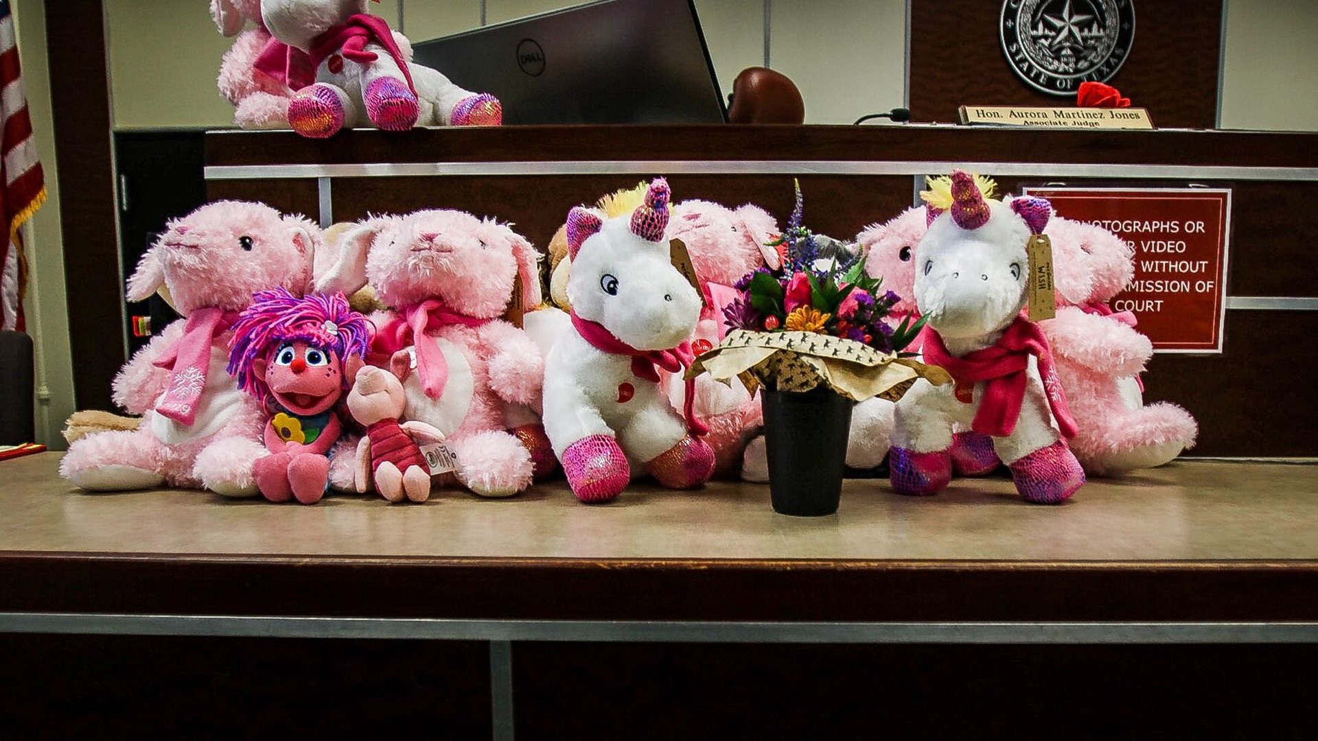 Travis County CPS judge uses stuffed animals to help children going ...