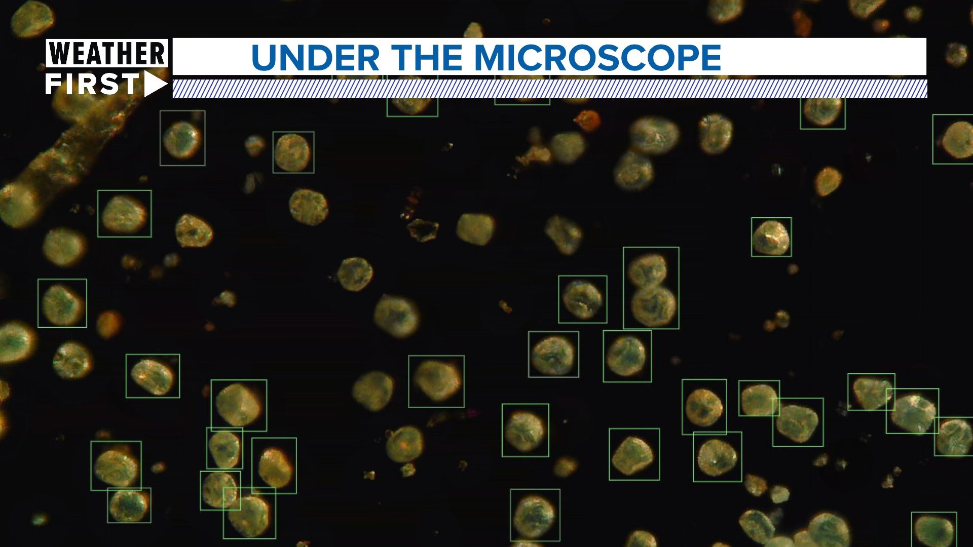 Central Texas sees massive cedar spike | kvue.com