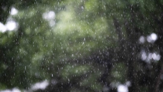 Longhorns legend Ricky Williams celebrates 20th anniversary of winning ...