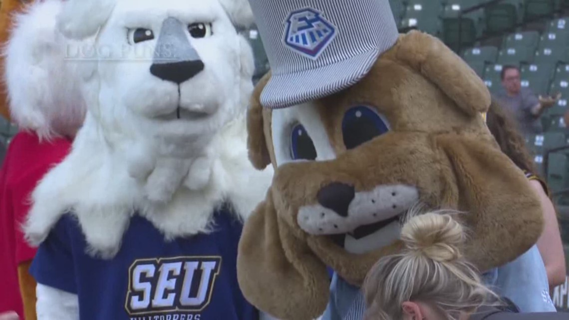 How Spike the Round Rock Express mascot keeps cool during the summer ...