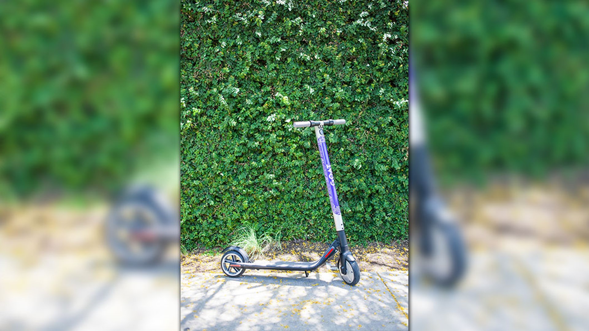 GOAT, Texas’ 1st dockless electric scooter company, rolls out in Austin ...