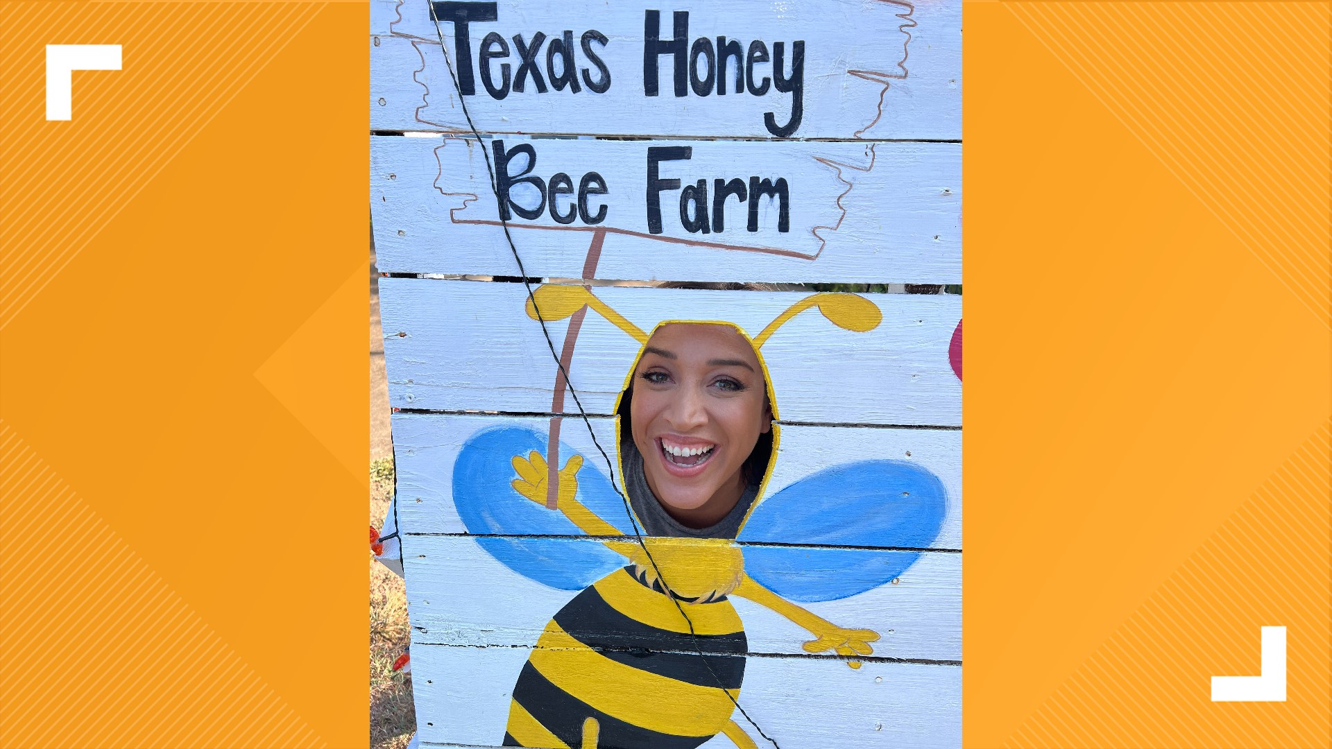 Texas Honey Bee Farm educating about the importance of bees | kvue.com