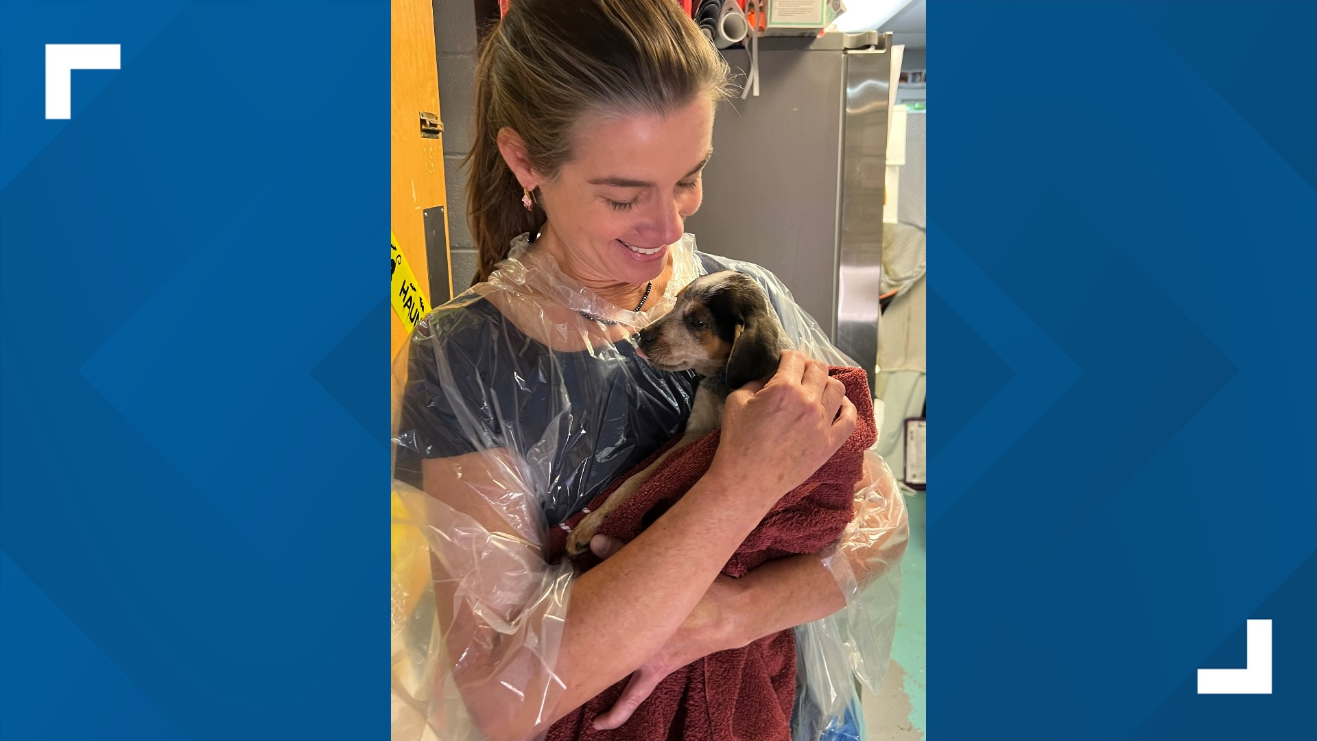 Austin FC has two new honorary puppy mascots from APA! | kvue.com