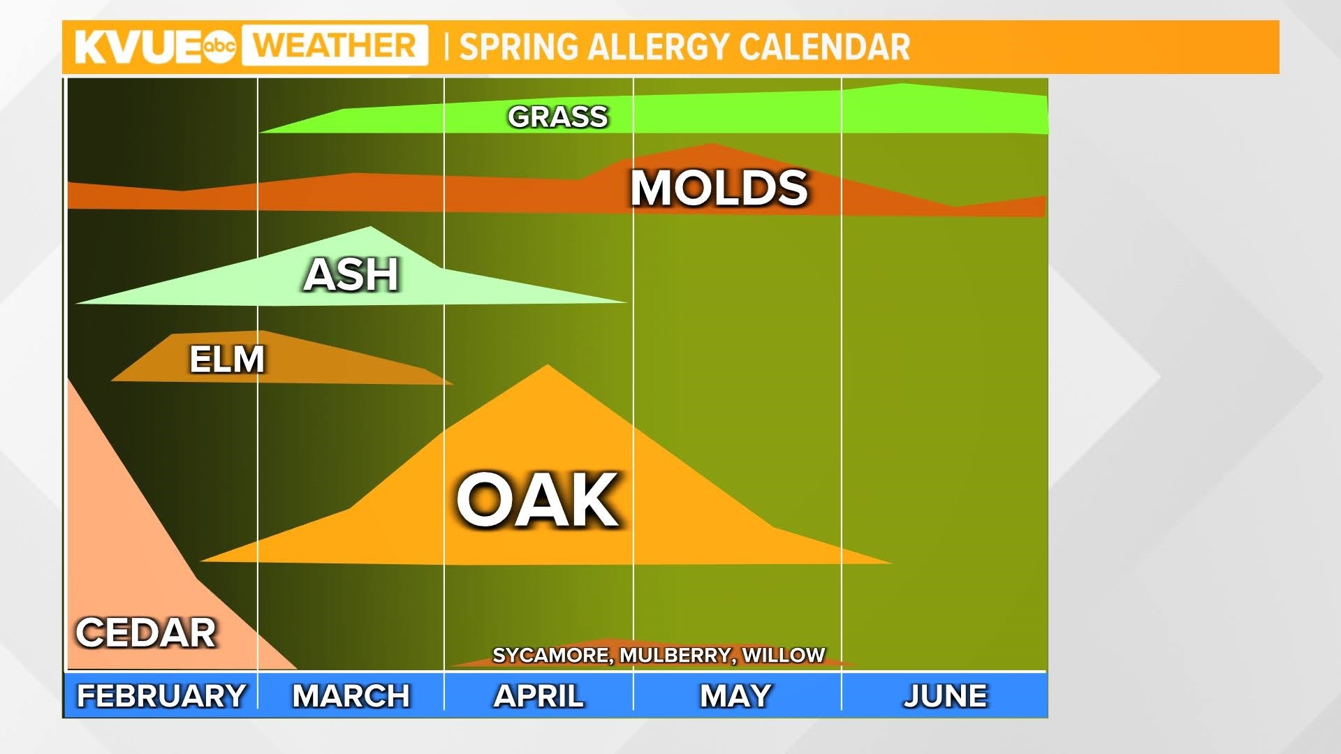 First day of spring 2024: Allergies spike in Central Texas | kvue.com
