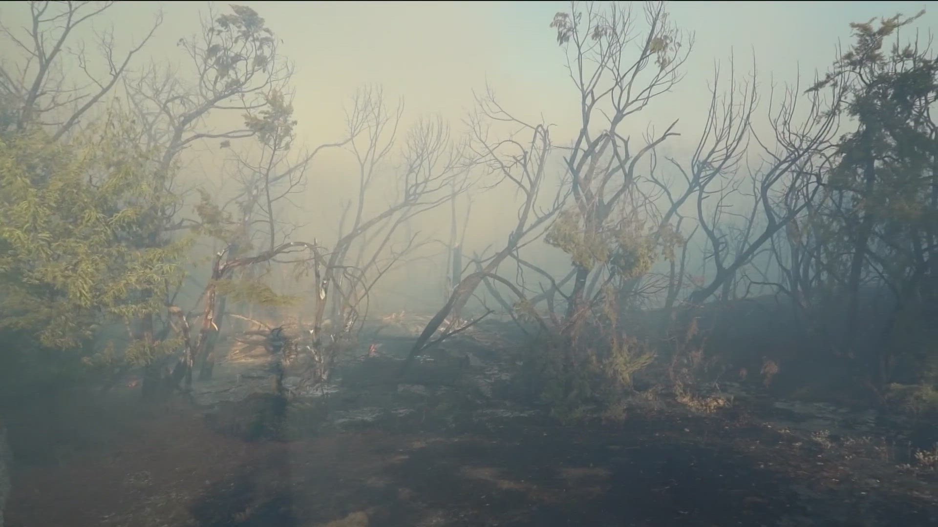Cedar Park residents evacuated because of Parmer Lane Fire | kvue.com