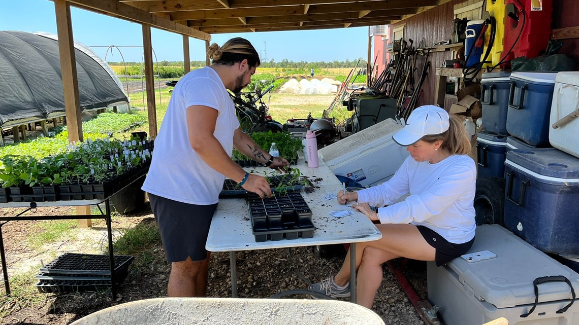 Elgin farm welcomes volunteers to learn about its mission | kvue.com