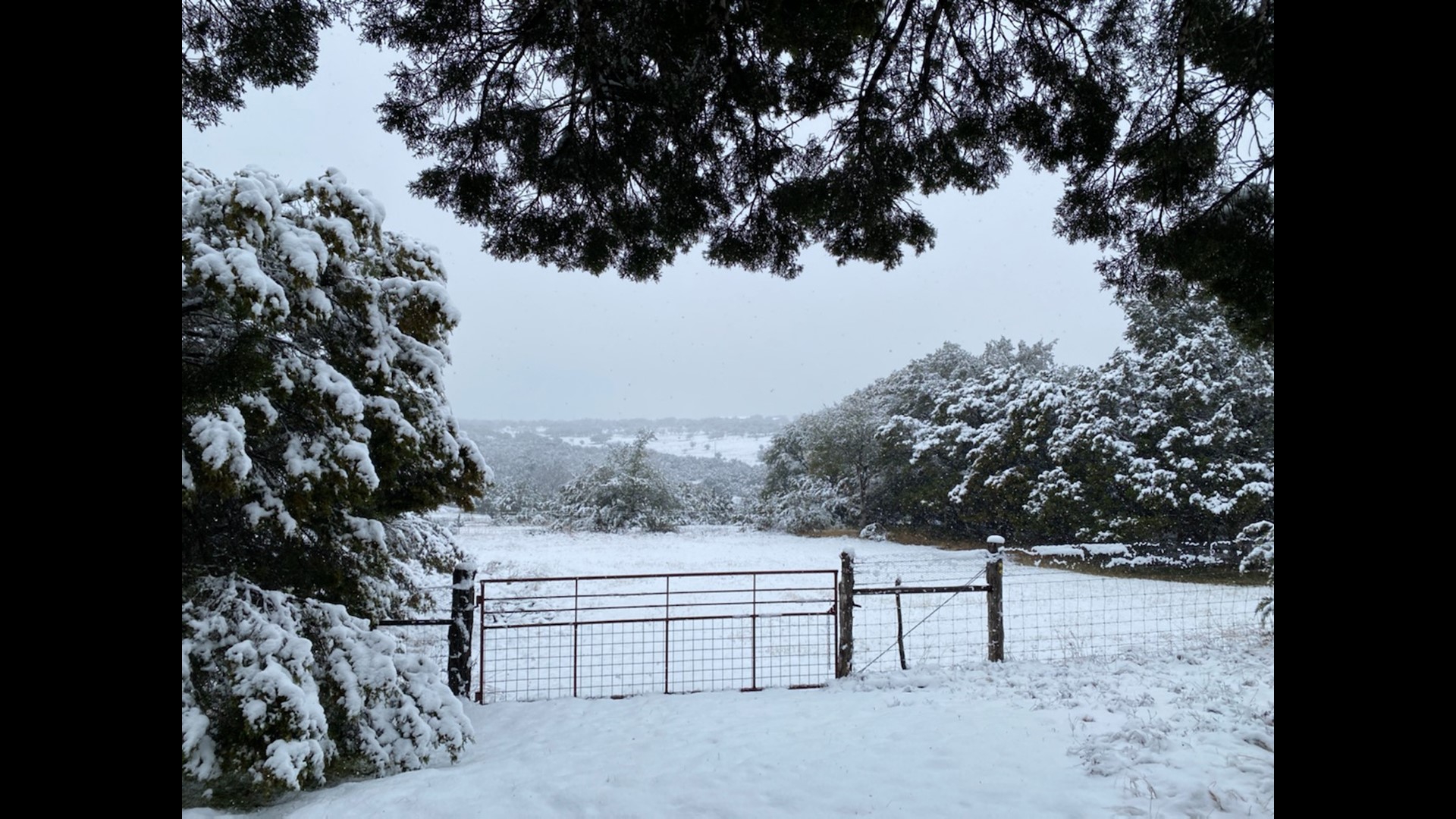 Austin area snowfall totals, Jan. 10, 2021 | kvue.com