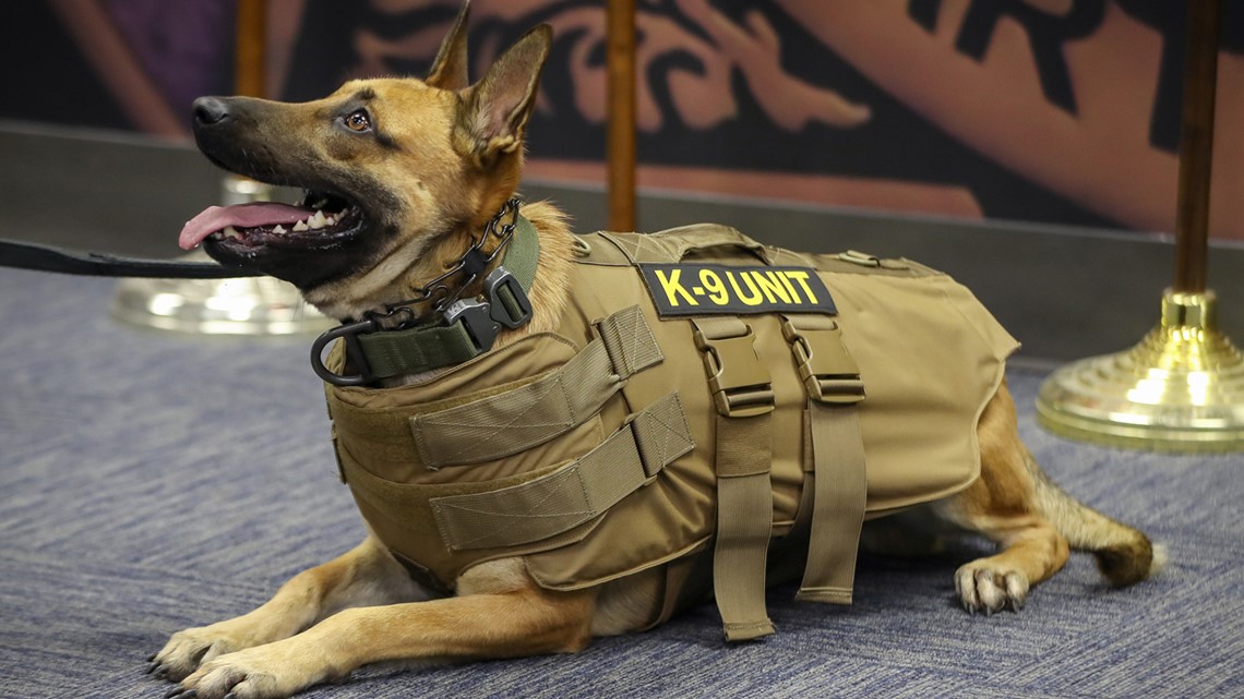 Leander community comes together to give police K-9 a bulletproof vest ...