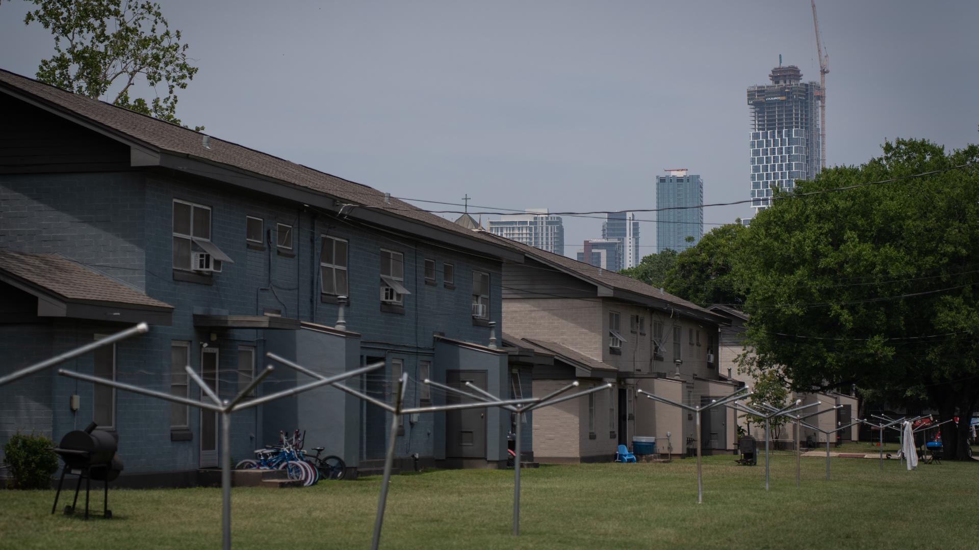 Texas hosts largest golden retriever meetup with over 1,700 dogs | kvue.com