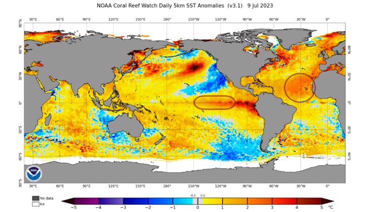 The Atlantic El Niño, explained | kvue.com