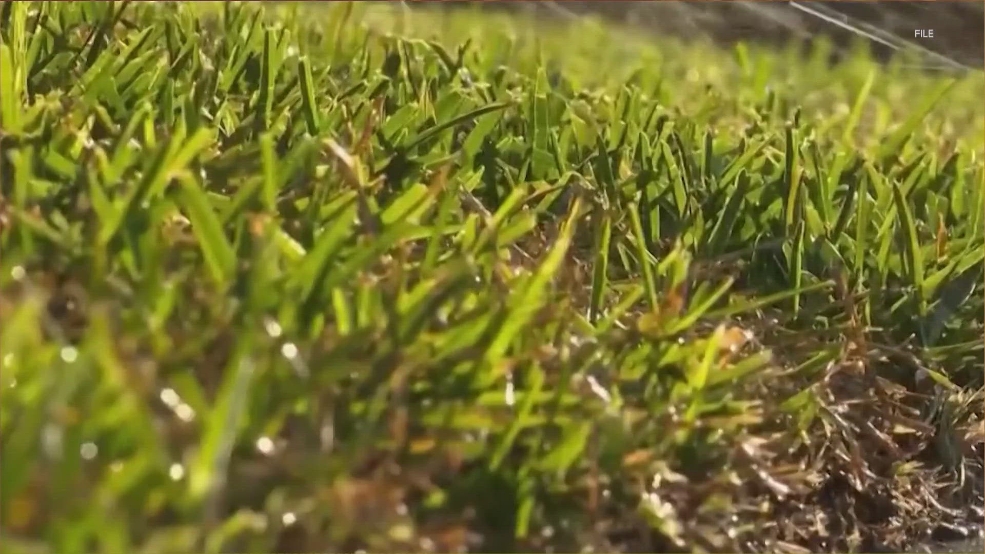 Texas House bill would limit HOA fines during drought | kvue.com
