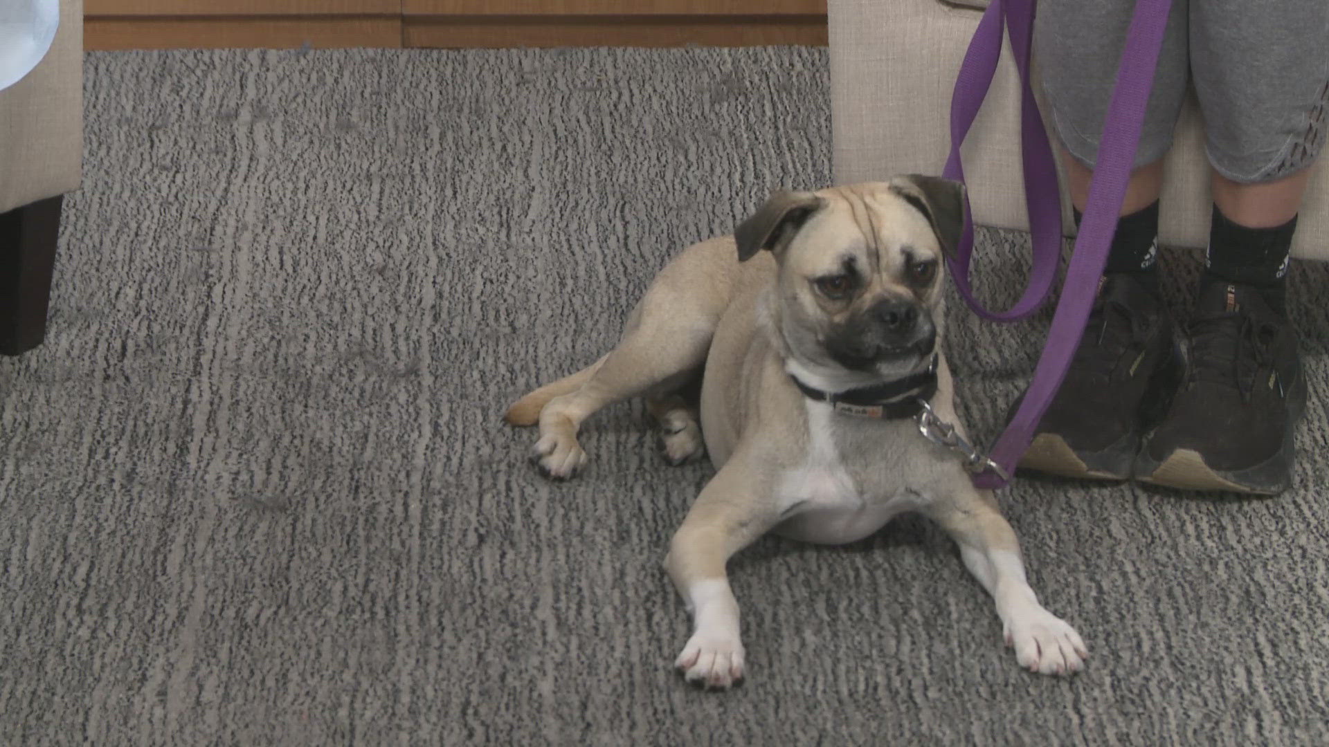 'I would shoot you if I could': Substitute teacher arrested after ...