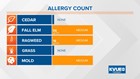 Austin allergy report: Wind leads to brief pollen spike | kvue.com