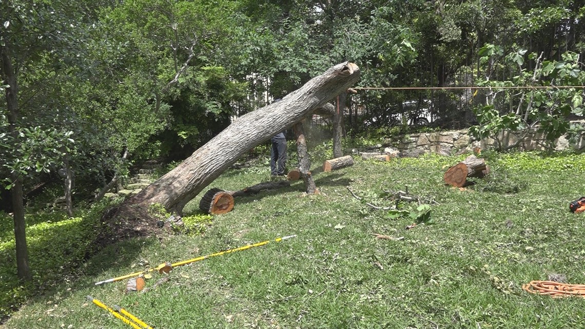 How to protect your home from trees in severe weather | kvue.com