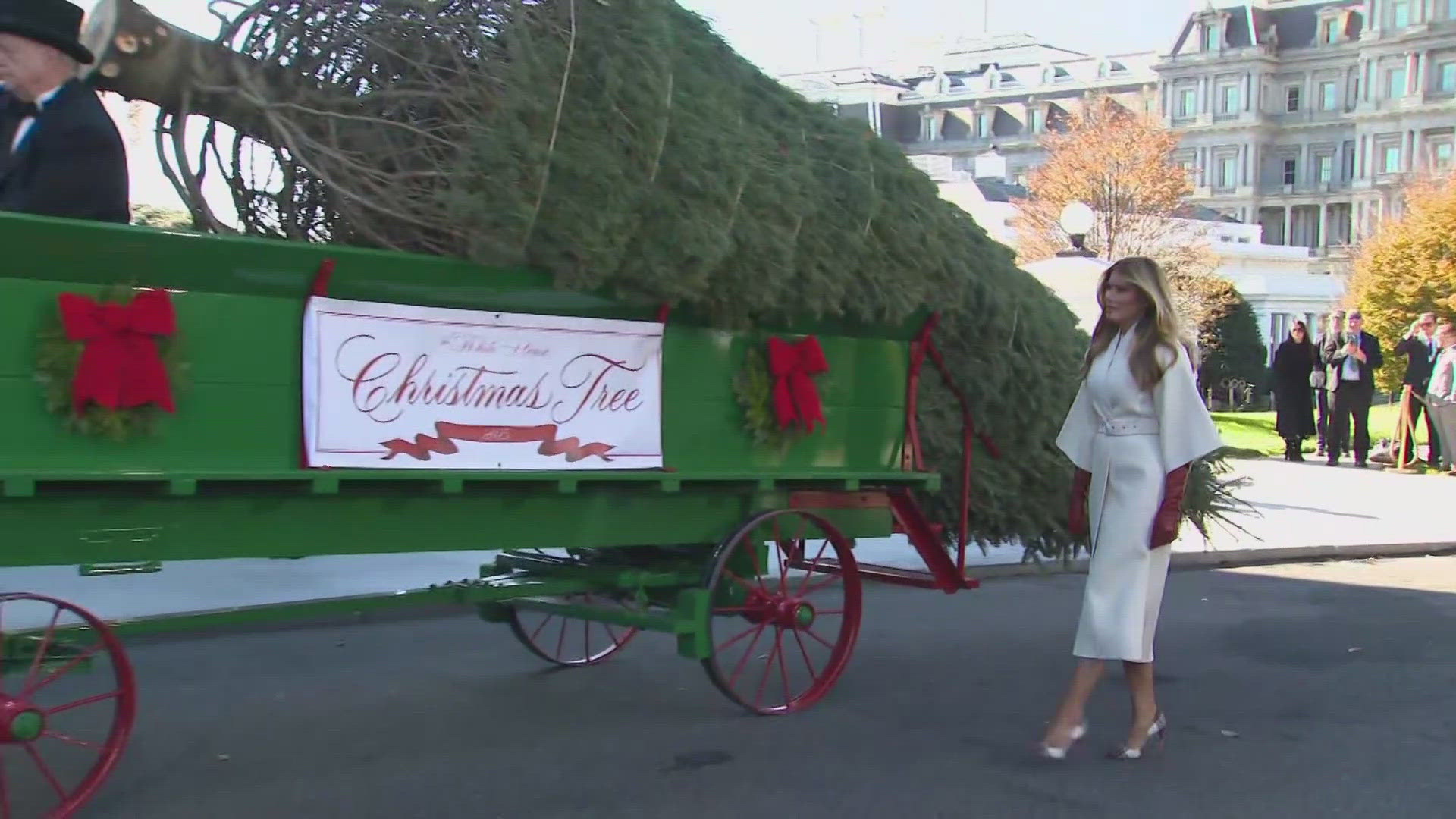 First Lady Melania Trump welcomes Christmas tree to the White House ...