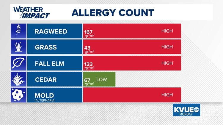 Central Texas allergies: Cedar returns to KVUE allergy count | kvue.com
