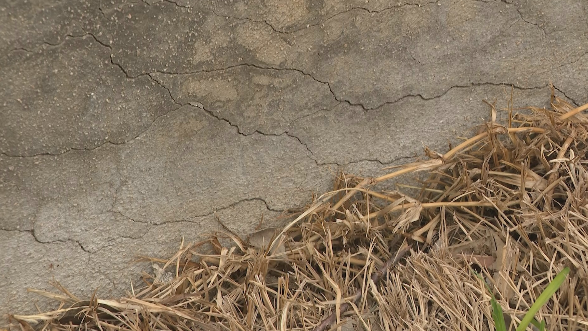 'Concrete cancer' impacting swimming pools in Austin, Texas, area ...