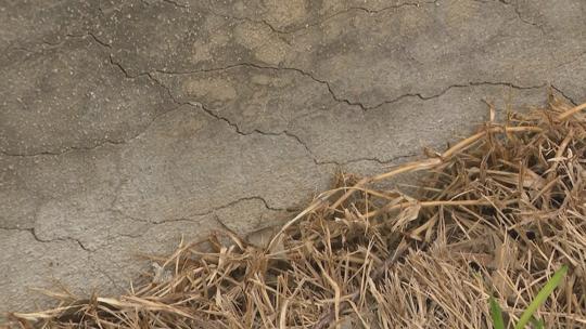 'Concrete cancer' impacting swimming pools in Austin, Texas, area ...