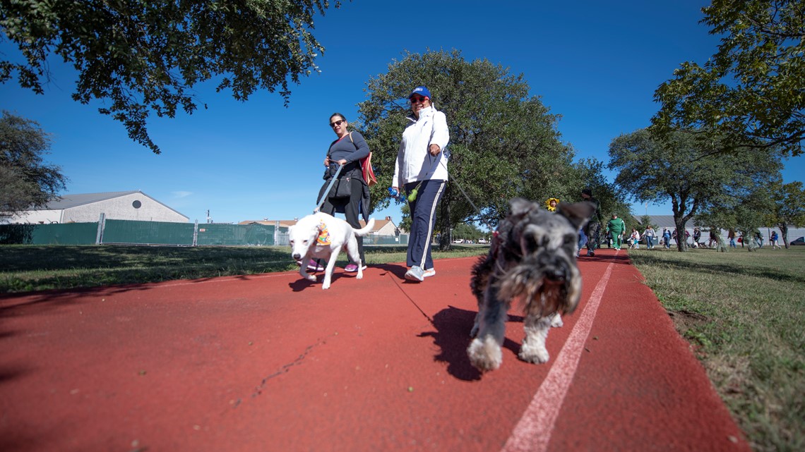Austin-area pups fetch new world record at Mighty Texas Dog Walk | kvue.com