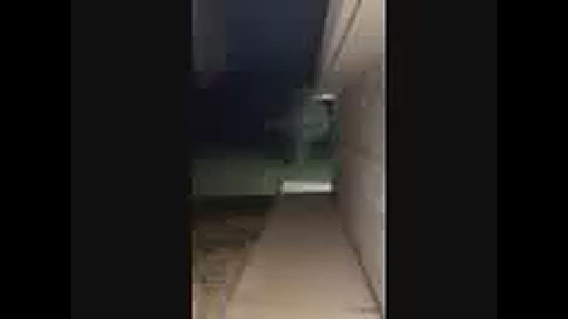 Hail In San Marcos Kvue