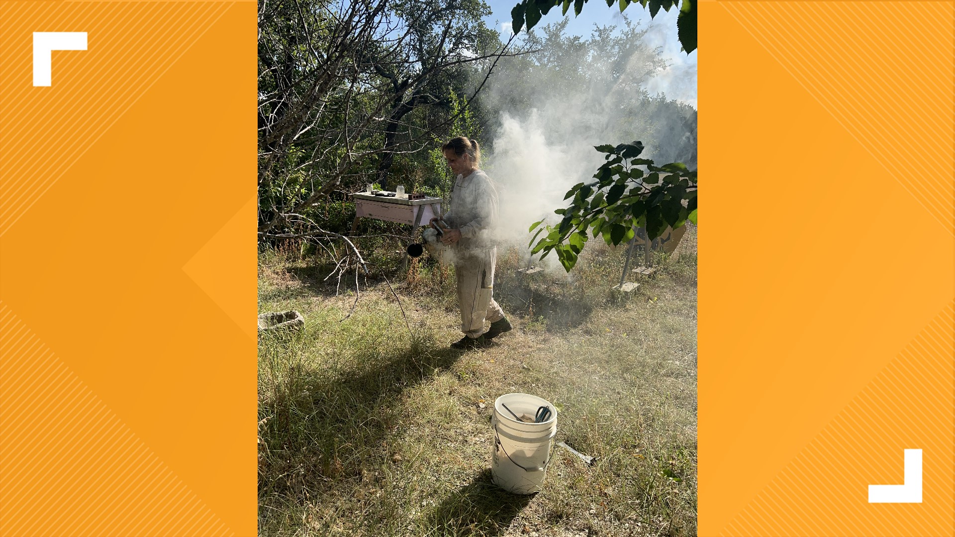 Texas Honey Bee Farm educating about the importance of bees | kvue.com