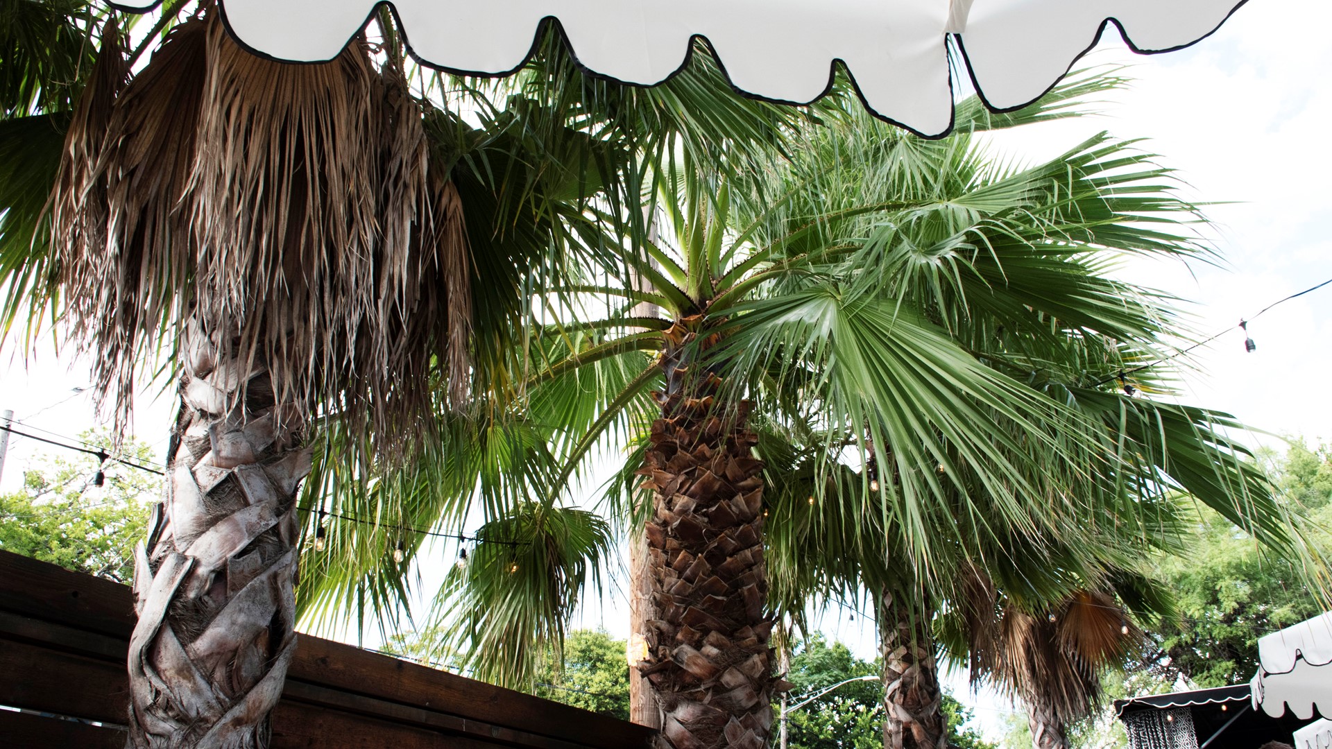 PHOTOS: Kitty Cohen's in East Austin | kvue.com