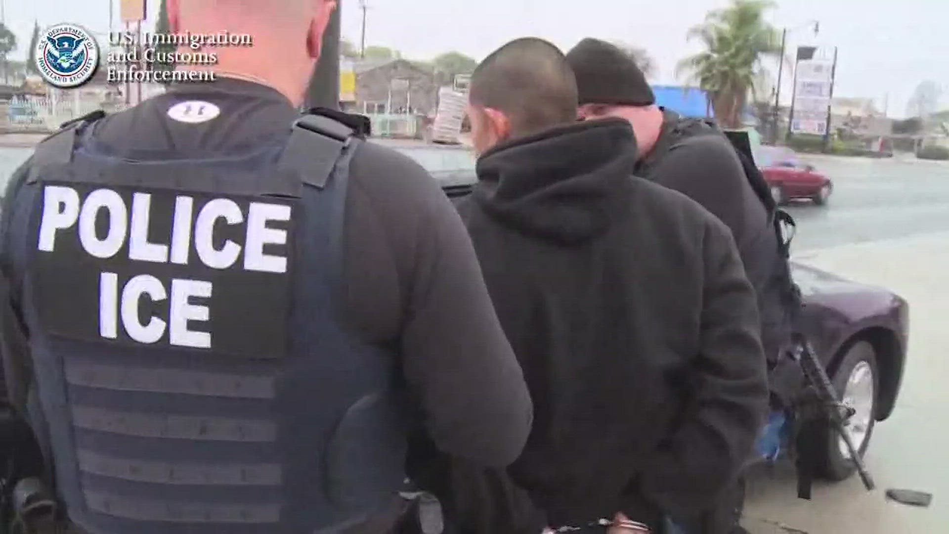 ICE arrests known gang member after release from Travis Co. Jail | kvue.com