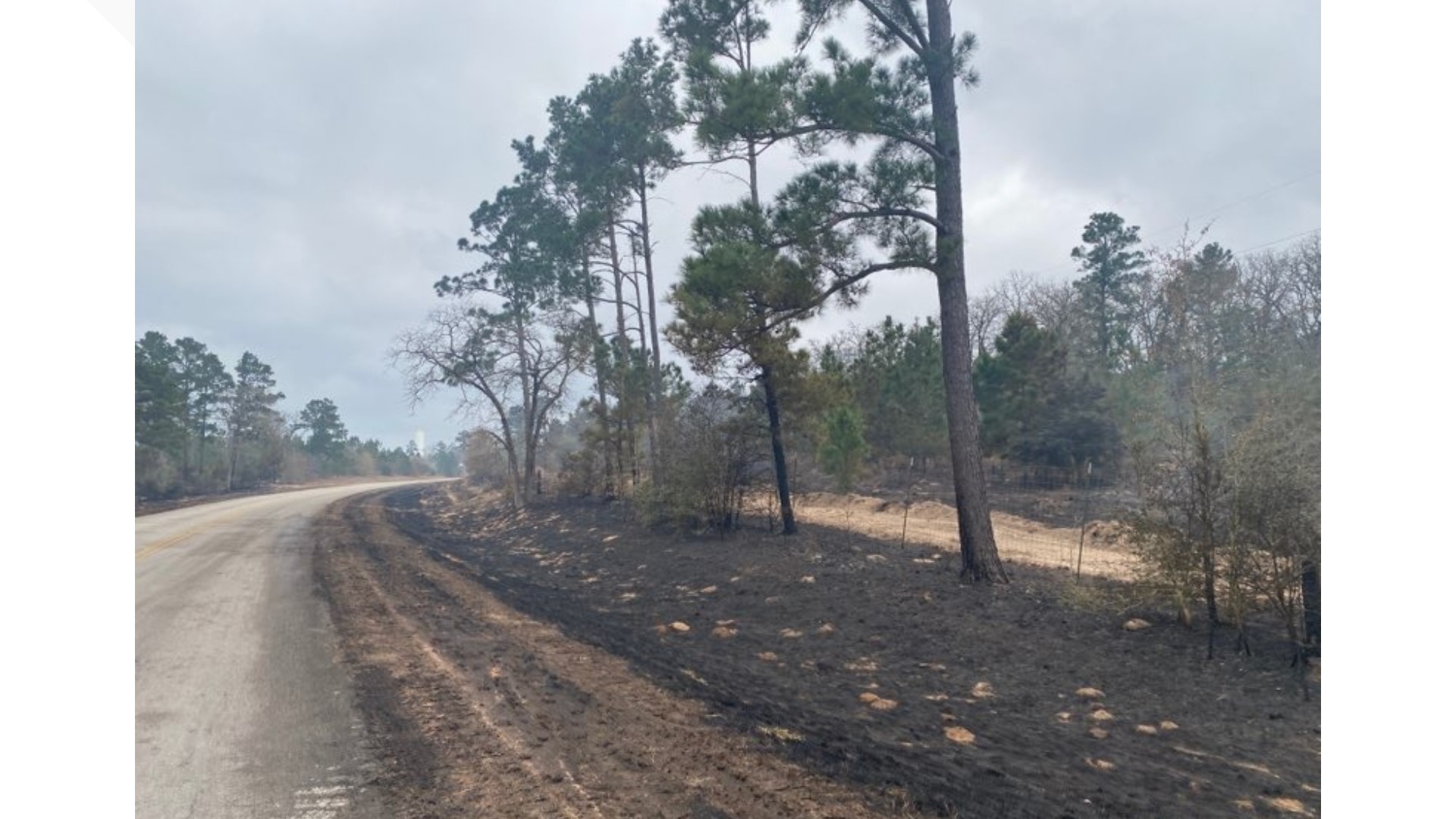 Wildfire at Bastrop State Park started from prescribed burn | kvue.com