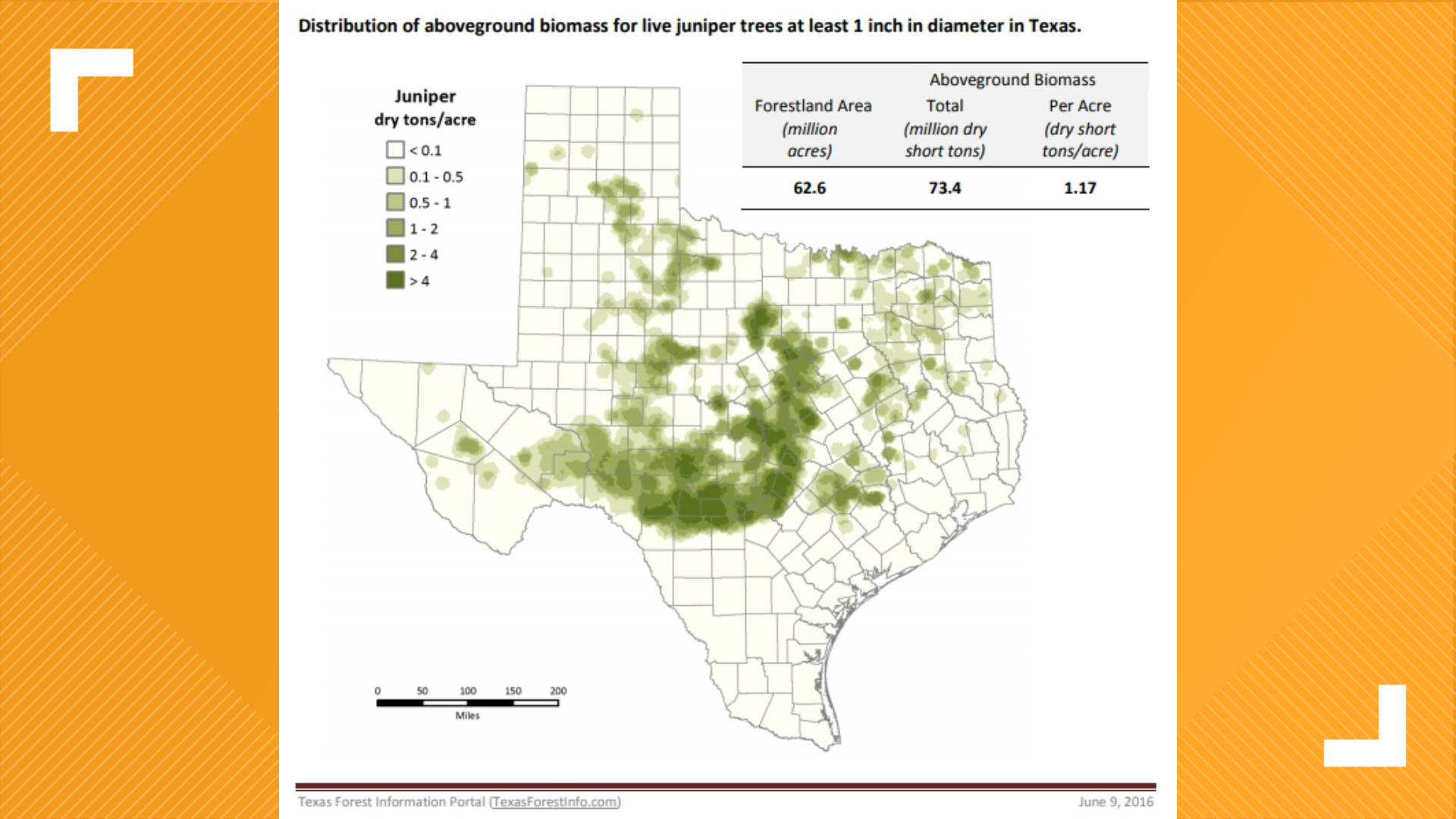 Central Texas sees massive cedar spike | kvue.com