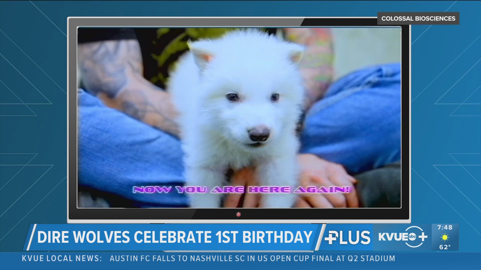 Music video celebrates 1st birthday of dire wolves | kvue.com