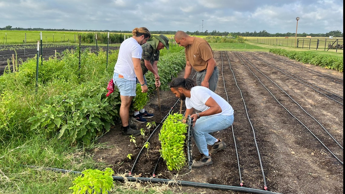 Simple Promise Farms in Elgin, Texas, is expanding | kvue.com