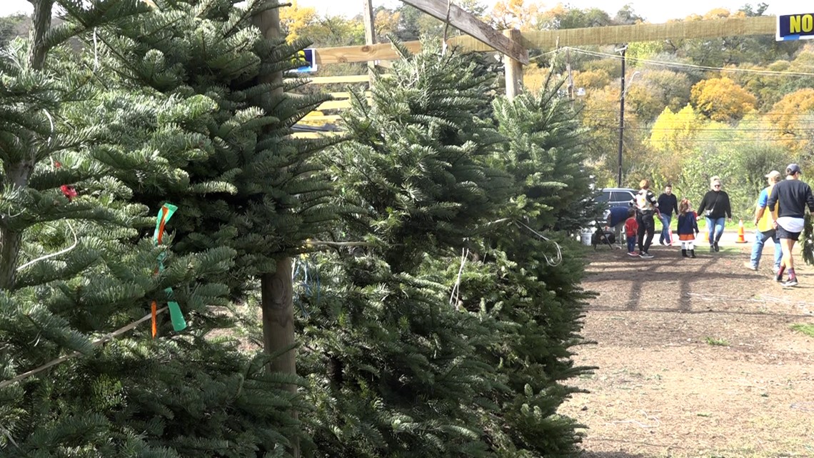 How to protect your home from a Christmas tree fire | kvue.com