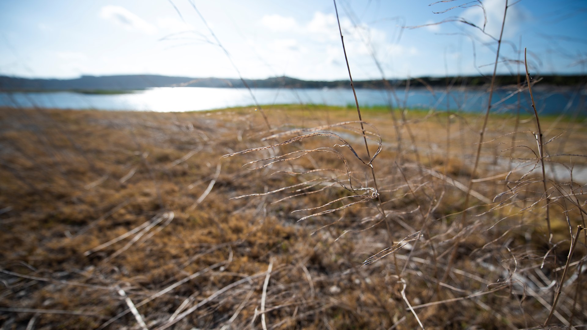 As July heat breaks records, Lake Travis water levels continue to drop ...