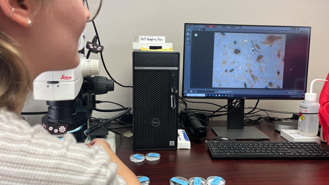 Jessica Cha - Journalist Profile - Intelligent Relations