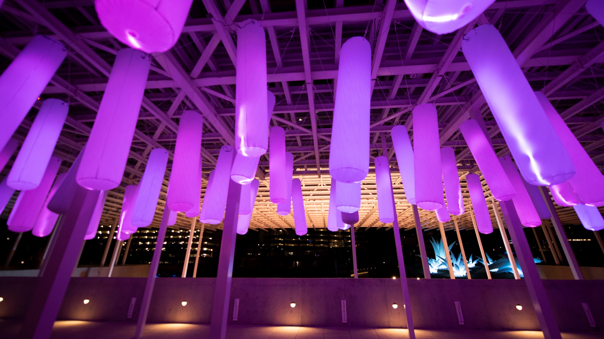 Waterloo Creek Show opens Nov. 12 | kvue.com