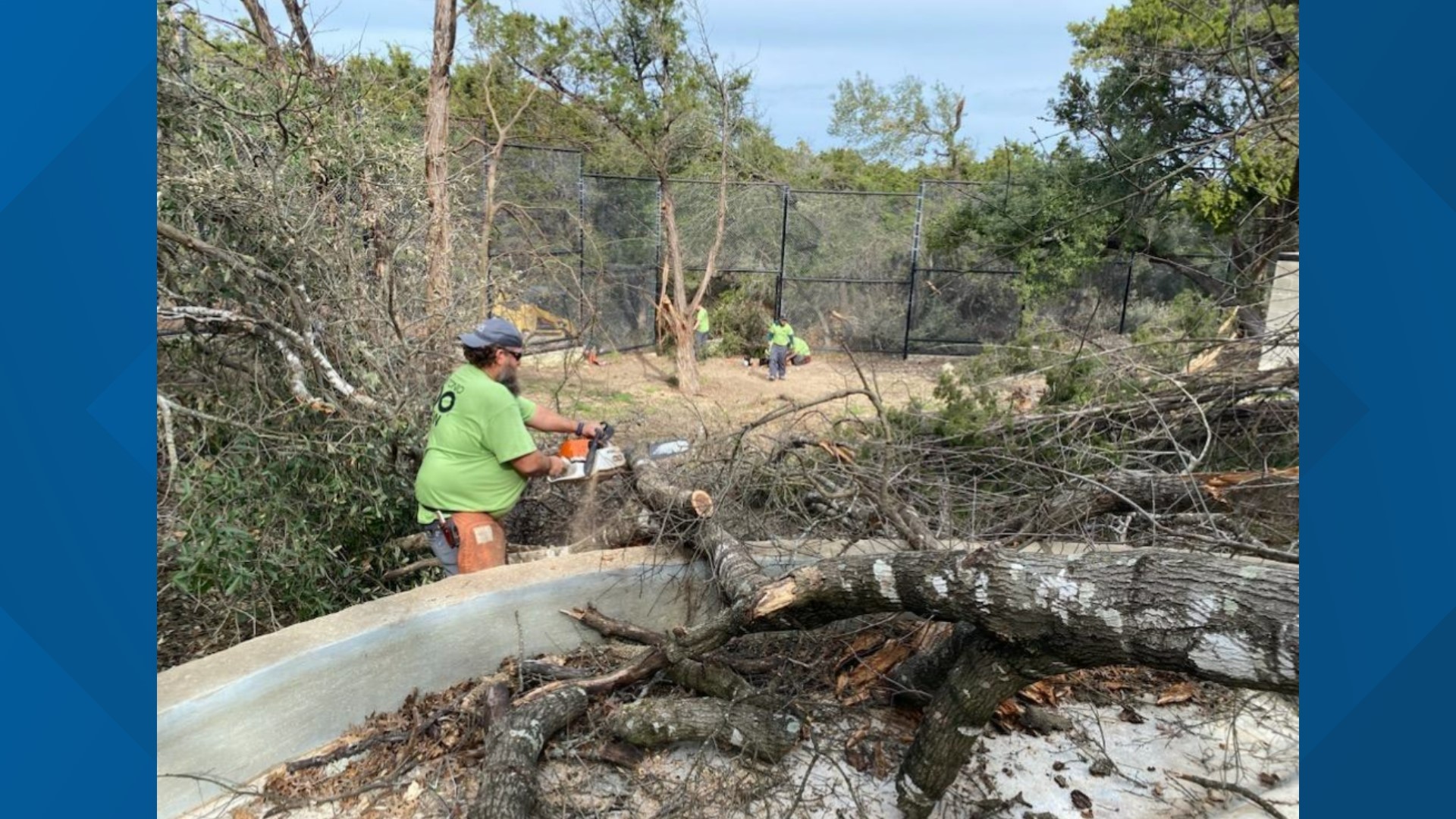 San Antonio Zoo provides a helping hand to Austin Zoo following the ice ...