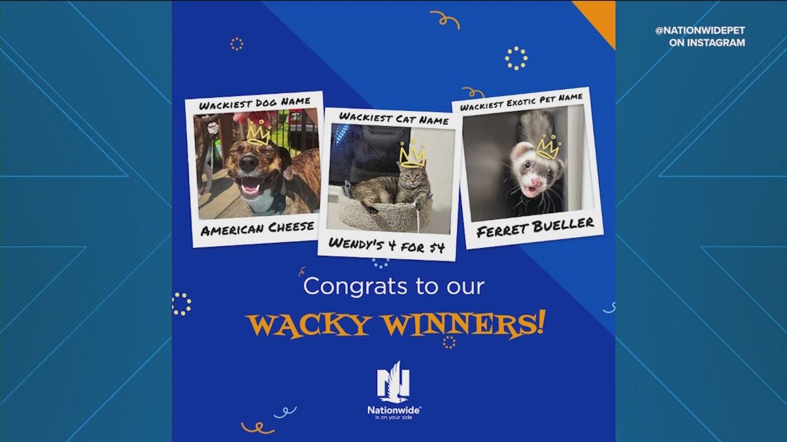 These are the 'wackiest' pet names of 2025, according to Nationwide ...