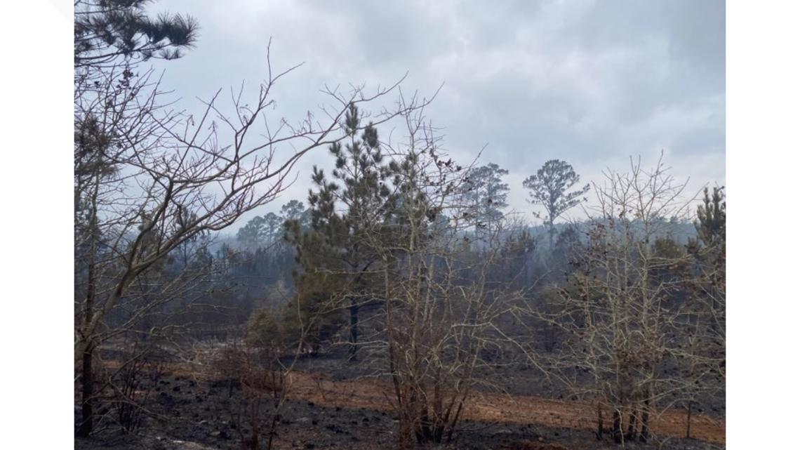 Wildfire at Bastrop State Park started from prescribed burn | kvue.com