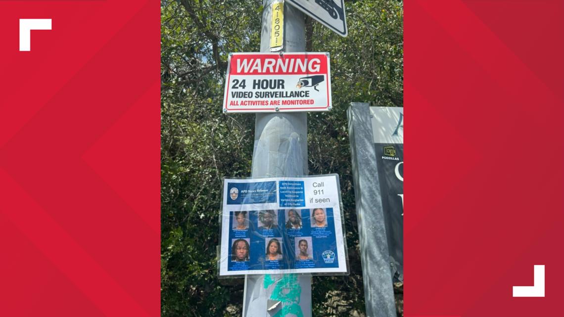 Austin police looking for repeat offenders in park burglaries | kvue.com