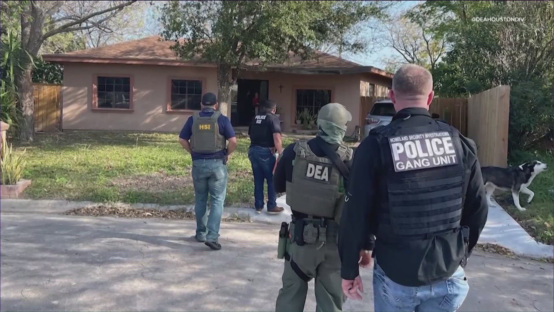 ICE raids lead to Austin-area nonprofits ramping up efforts to protect ...