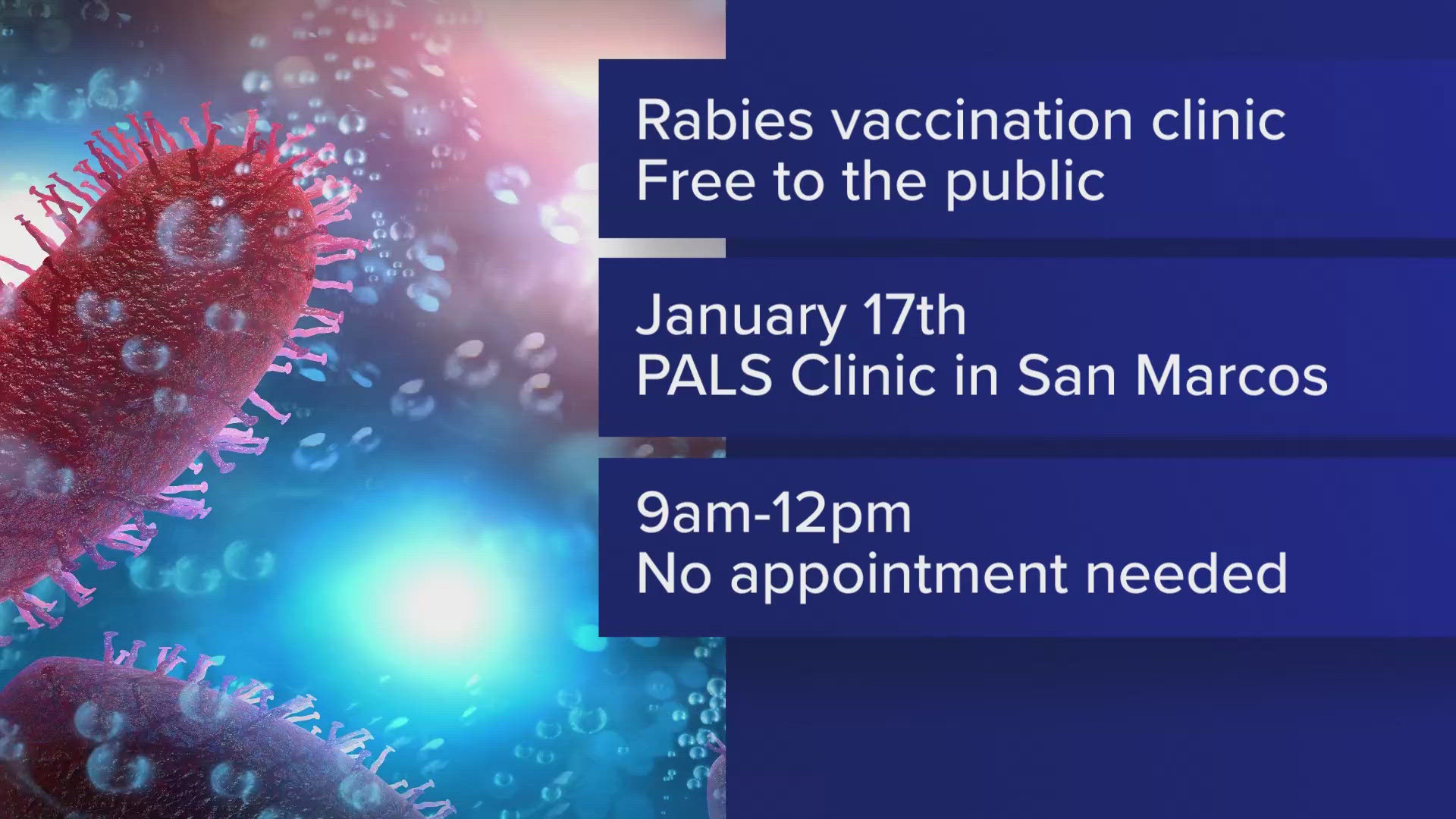 Rabies outbreak confirmed in Hays County | kvue.com