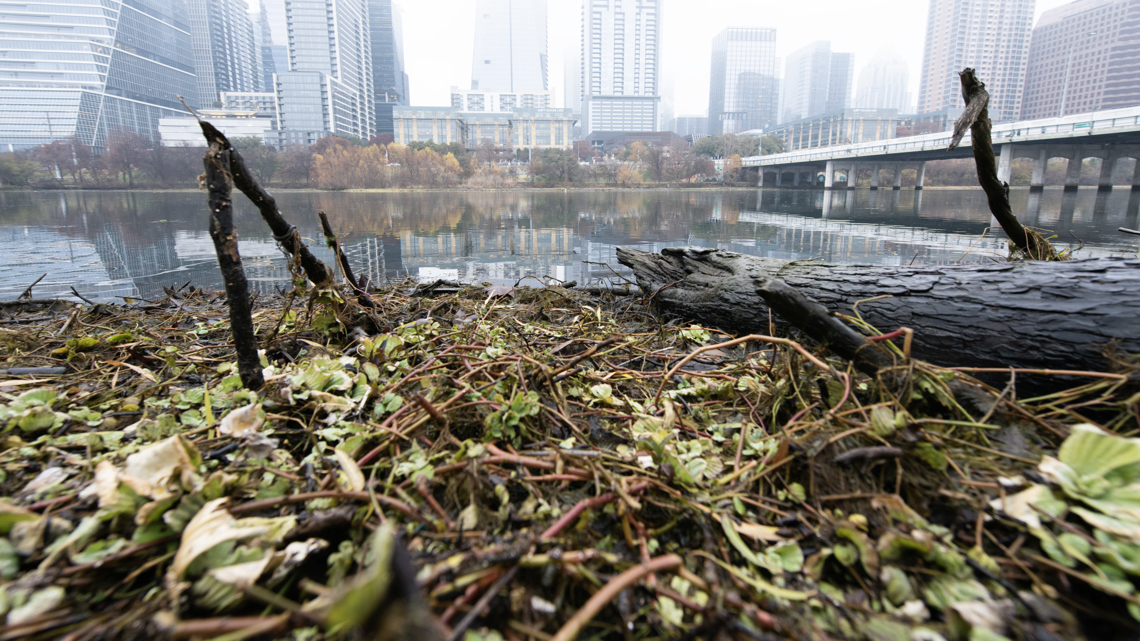 Swimming in Austin's Lady Bird Lake is banned | Here's why | kvue.com