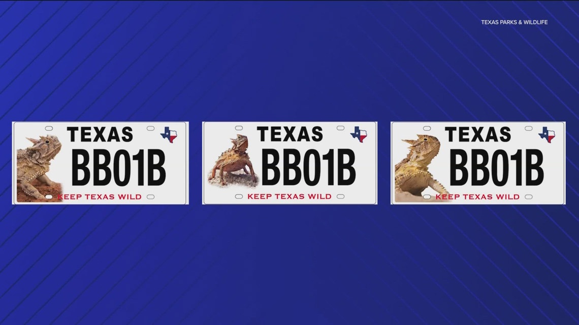 Pick your horned lizard license plate design | kvue.com