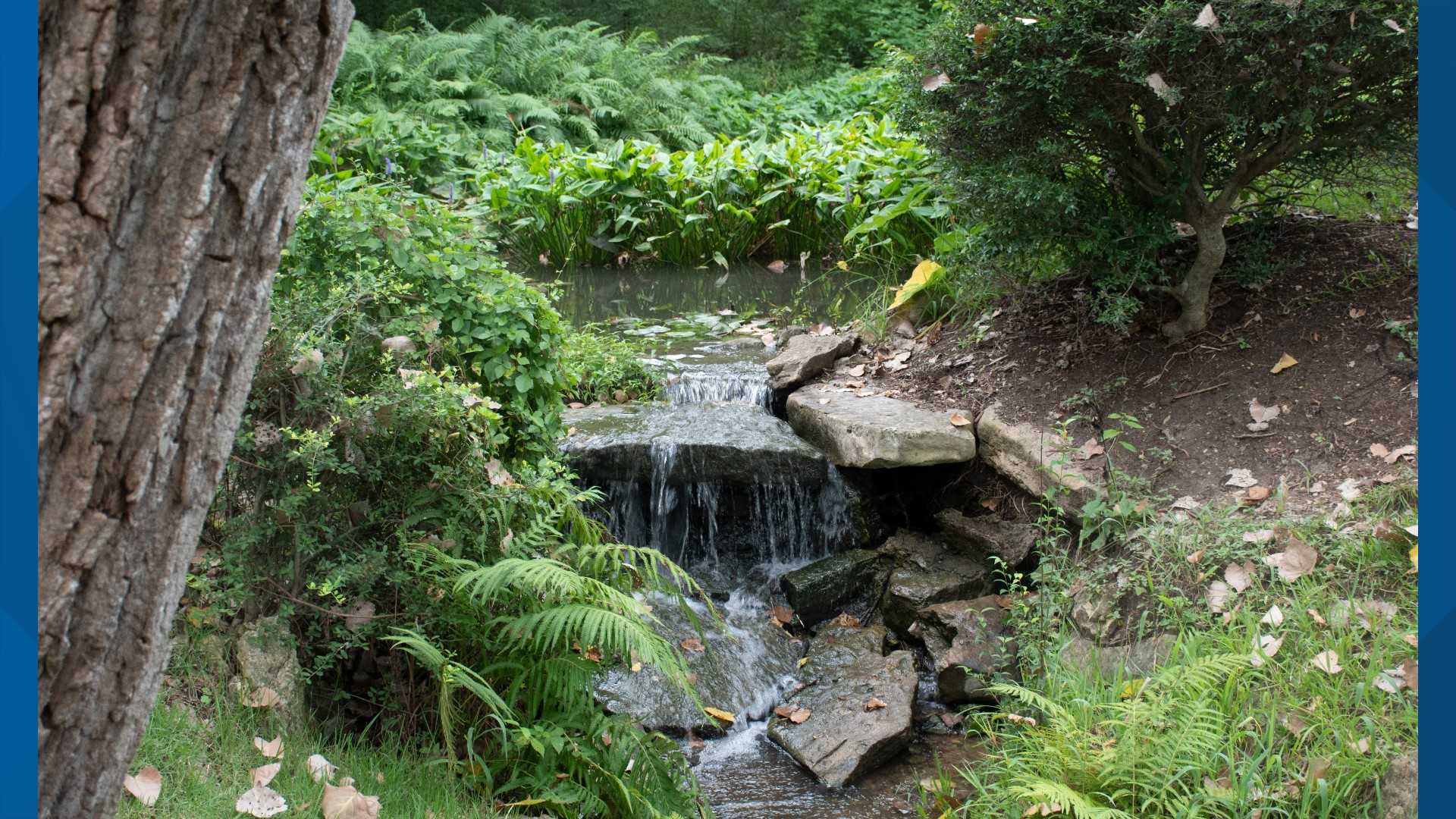 Things to do in Austin: Umlauf Sculpture Garden & Museum | kvue.com