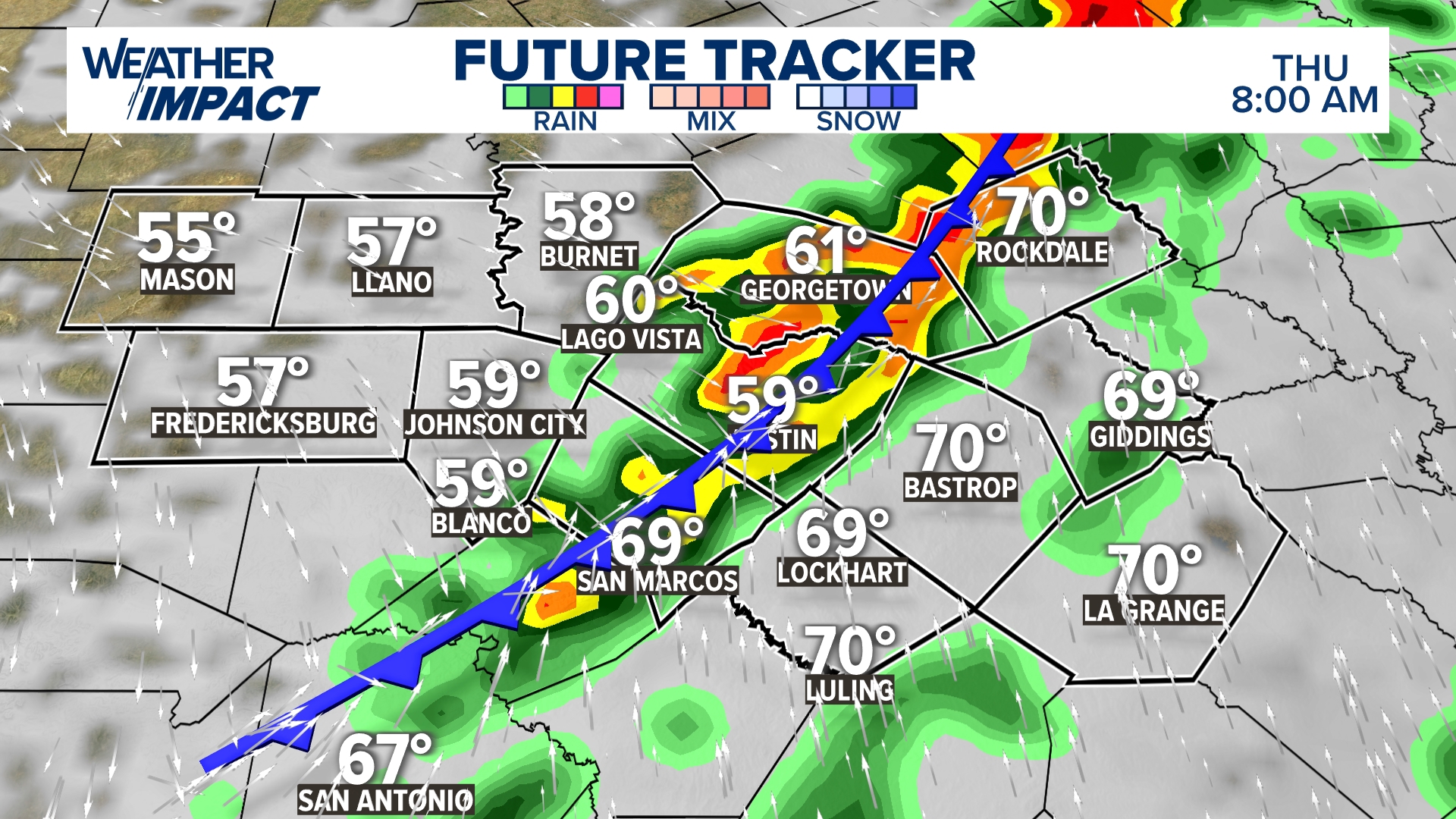 Hammerhead flatworms: How to deal with toxic worms in Austin | kvue.com