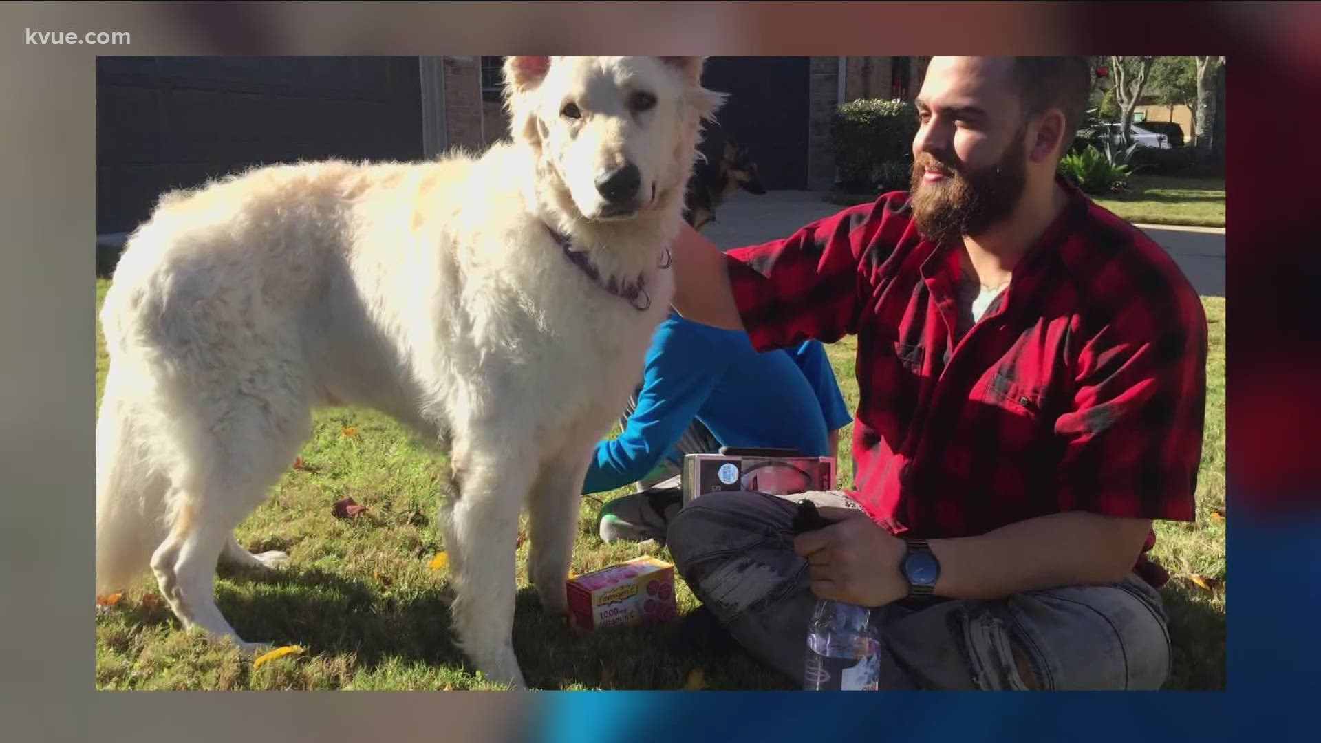 Family of murder victim frustrated over possible plea deal ...