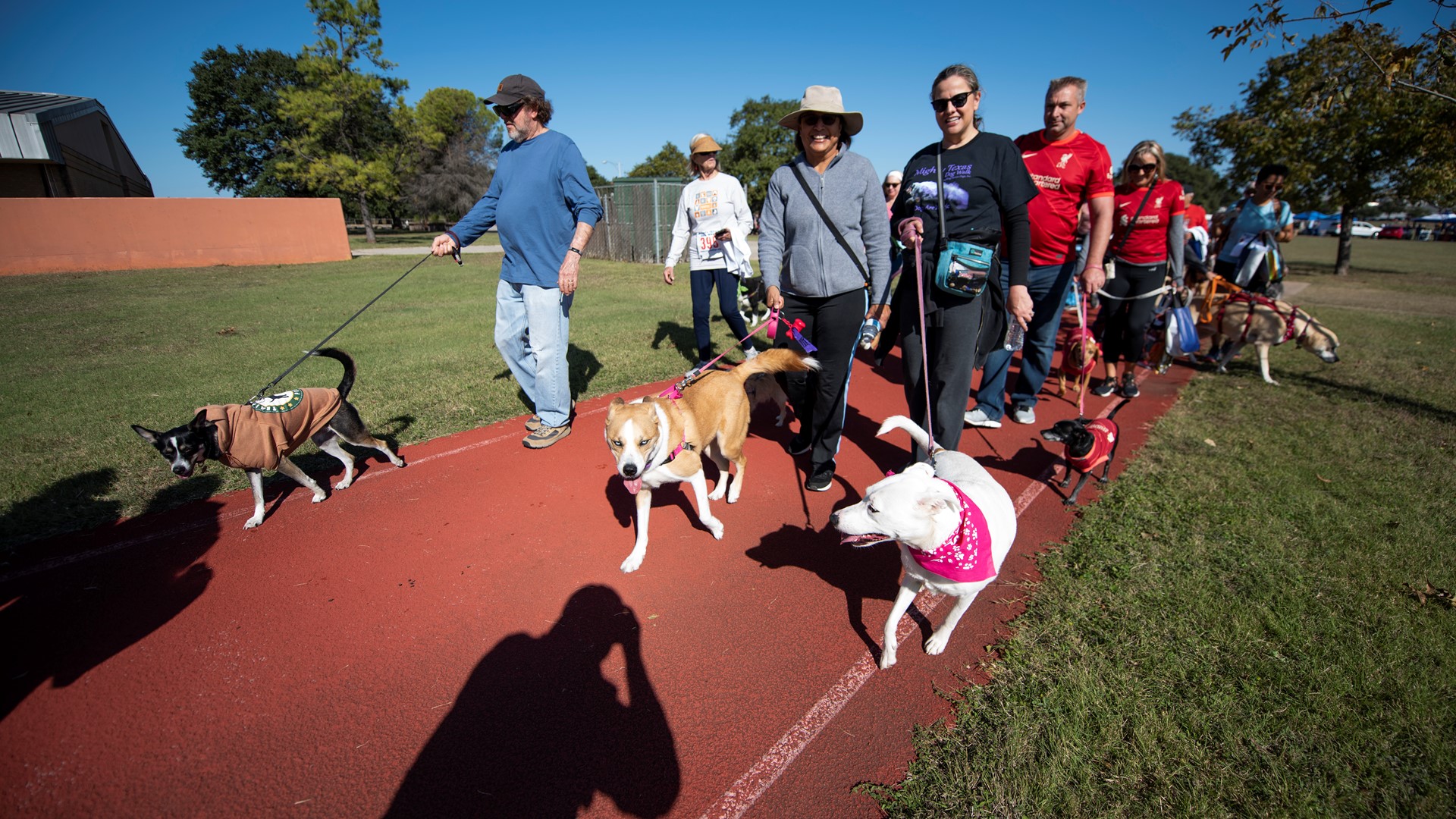 Hundreds of pups join in Mighty Texas Dog Walk | kvue.com